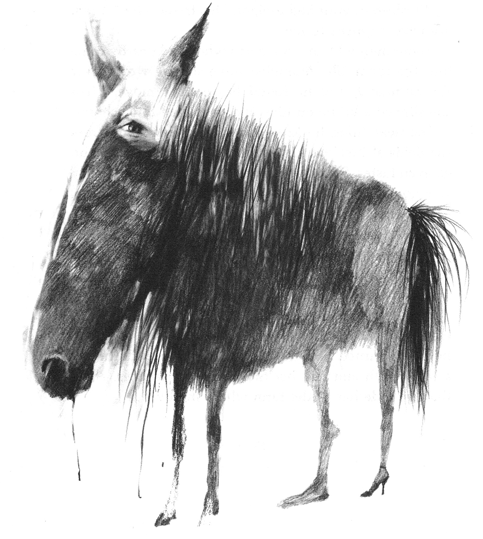Scary Stories To Tell In The Dark Chapter 14: A New Horse – Geekade